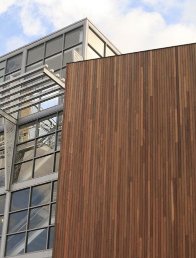 Cumaru Wood Dubai: Thermowood.ae’s Guide to a Durable and Sustainable ...